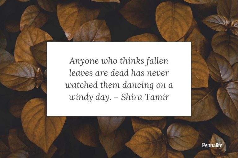 70 Cozy Fall Quotes to Warm Your Soul in Autumn | Pennalife