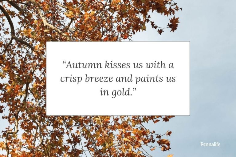 70 Cozy Fall Quotes to Warm Your Soul in Autumn | Pennalife