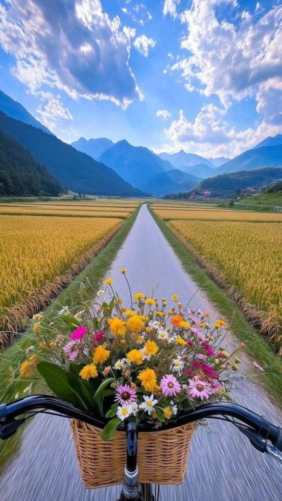 31 Gorgeous Spring Wallpapers for iPhone You'll Totally Love