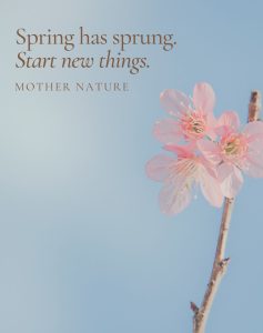 31 Gorgeous Spring Wallpapers for iPhone You'll Totally Love