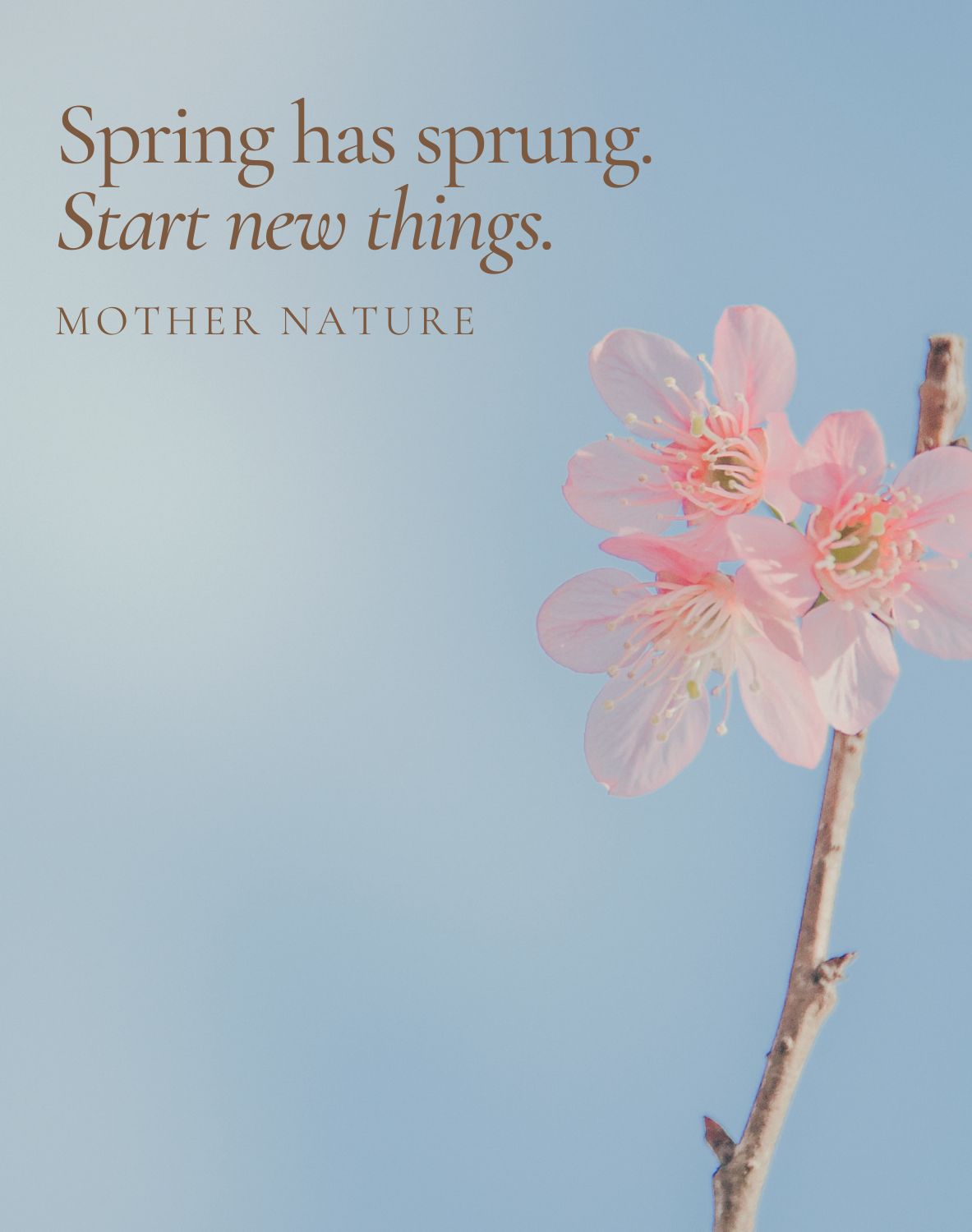 31 Gorgeous Spring Wallpapers for iPhone You'll Totally Love