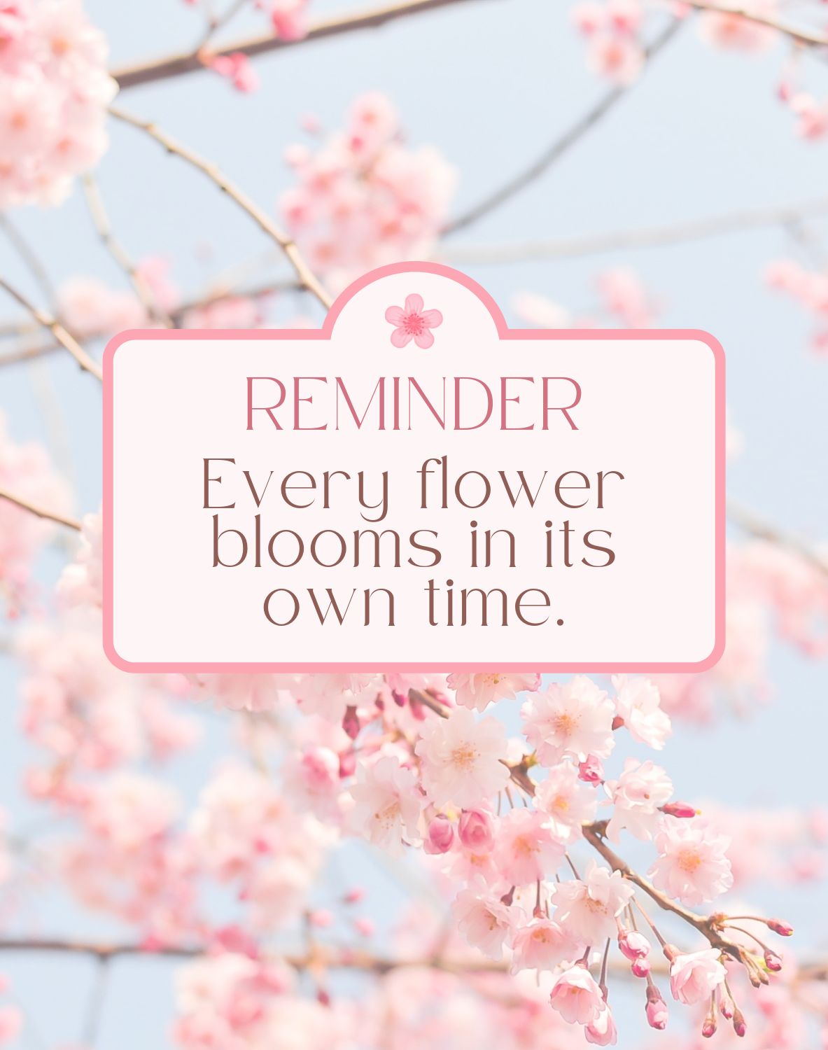 31 Gorgeous Spring Wallpapers for iPhone You'll Totally Love