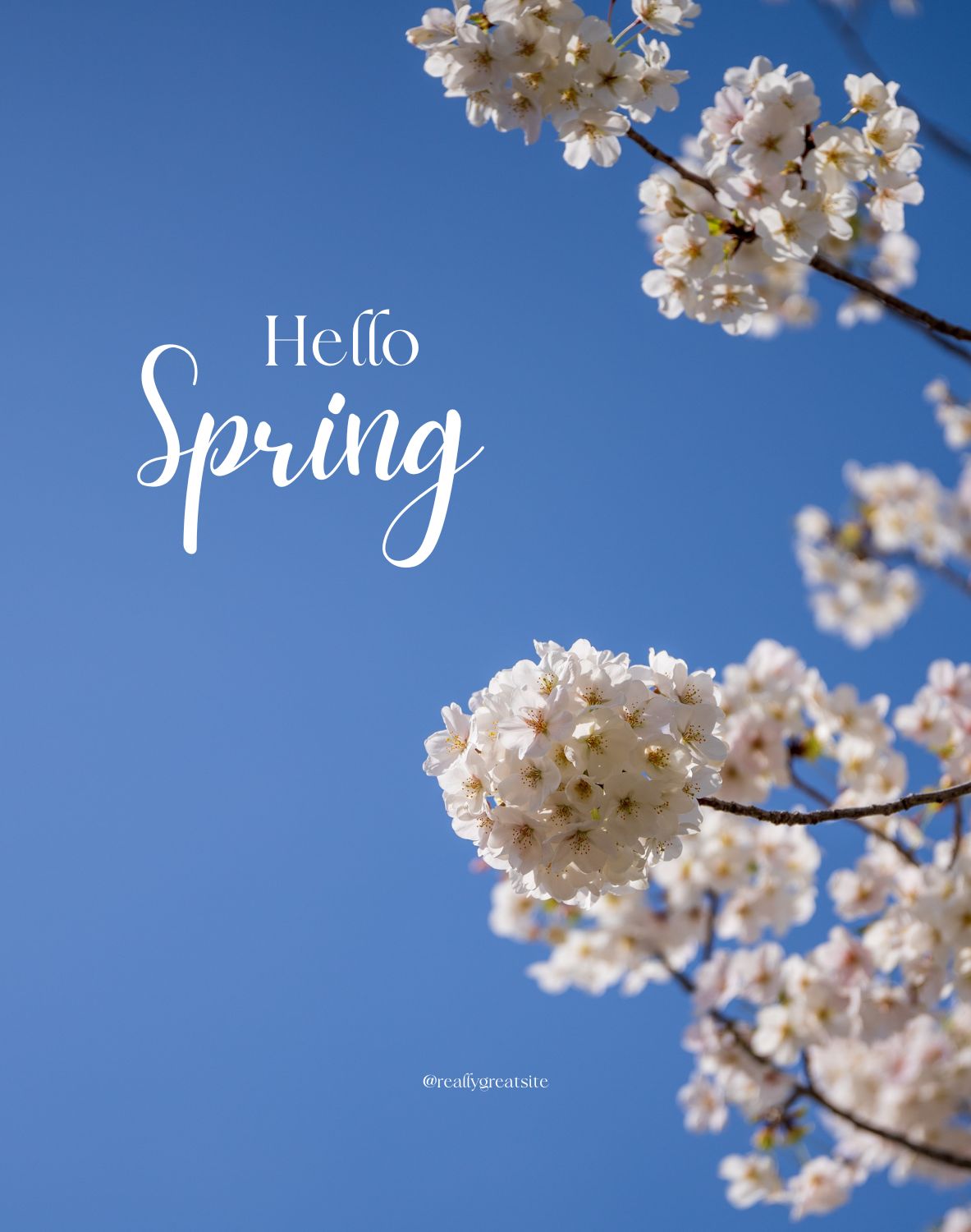 31 Gorgeous Spring Wallpapers for iPhone You'll Totally Love