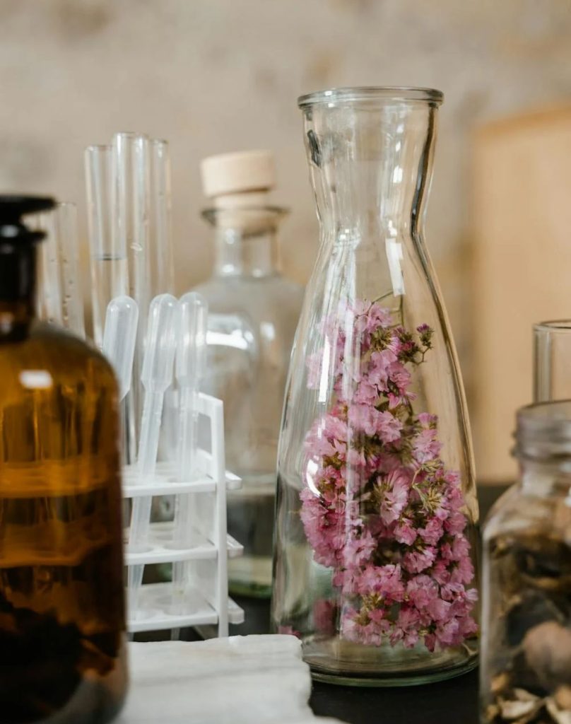 30 Exciting Spring Bucket List Ideas to Welcome Spring