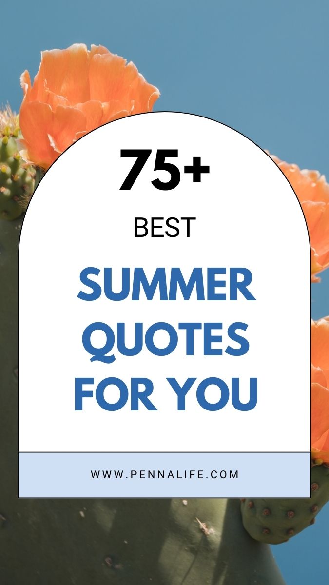 75+ Hot Summer Vibes Quotes for Sunny Days | Pennalife