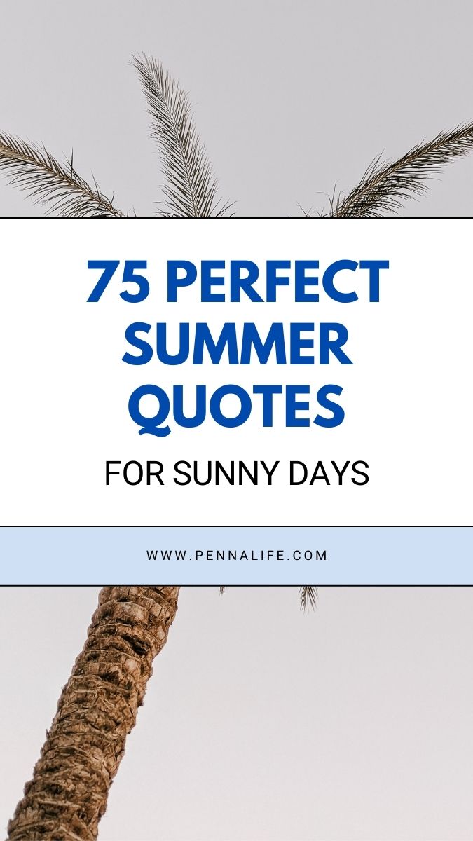 75+ Hot Summer Vibes Quotes for Sunny Days | Pennalife